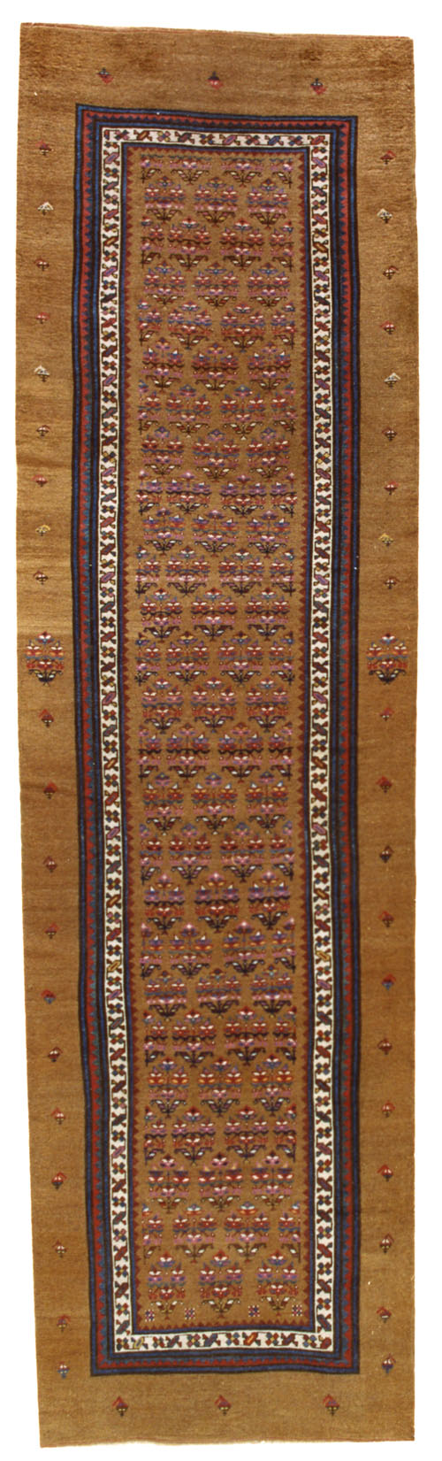 2947 Serab 3 ft 5 x 12 ft - Nemati Collection